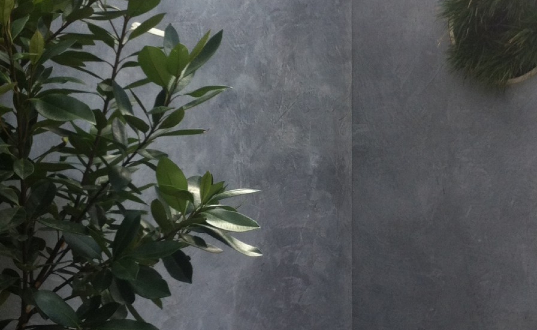 Italian Stucco Plaster – Painted Image